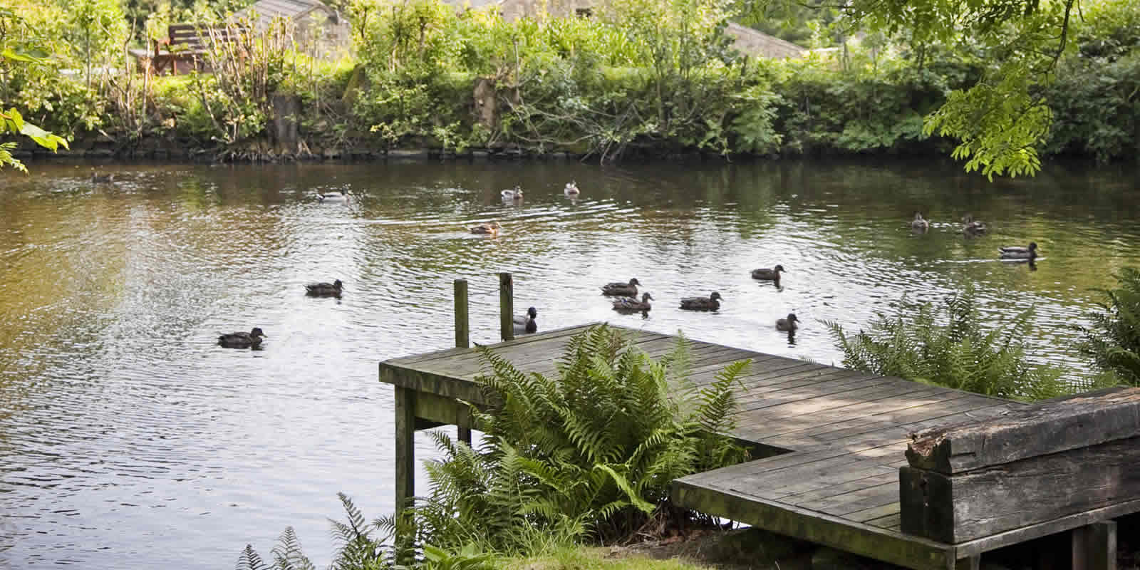 pond side jetty - Wolfen Mill Boutique Self Catering